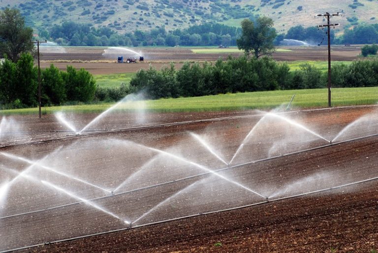 Importance Of Drip Irrigation and Water Conservation in India